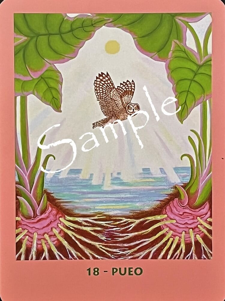 マナカードの世界｜No.18 – PUEO（プエオ）｜ハワイのアロハ･スピリット | A-jump ! (ええじゃん) blog