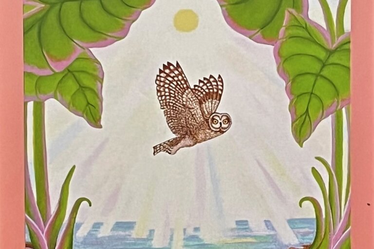 マナカードの世界｜No.18 – PUEO（プエオ）｜ハワイのアロハ･スピリット | A-jump ! (ええじゃん) blog